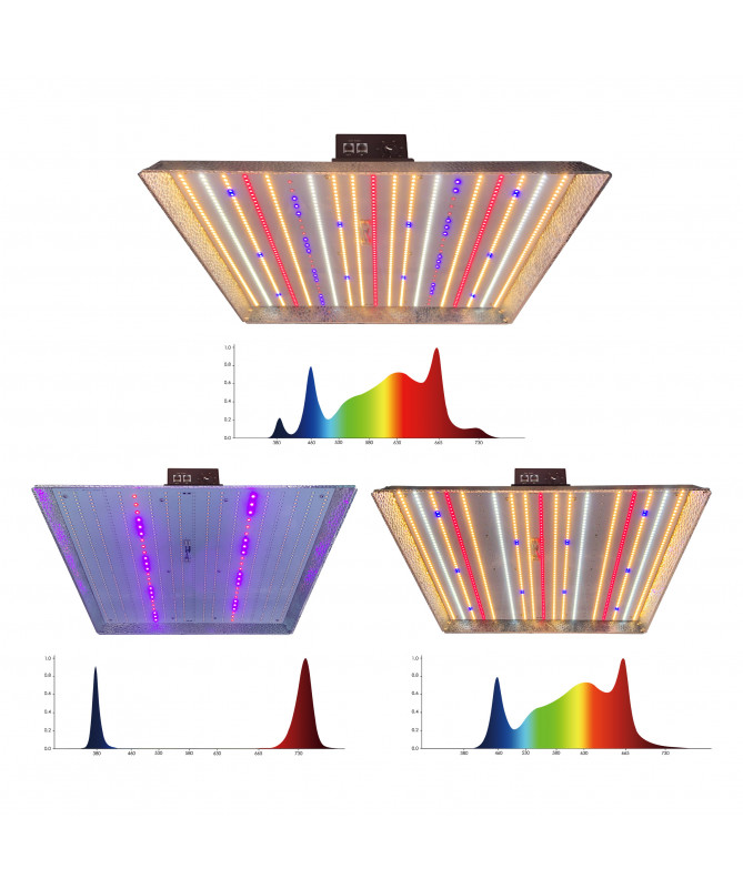 GOAT LED 320W 2.6µmol DUAL + UV, IR - BOARD | Growshop tanieuprawianie.pl
