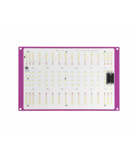 GOAT LED 120W UV+ Wide | Growshop tanieuprawianie.pl