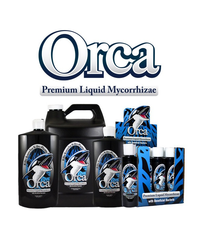 PLANT SUCCESS MYCORRHIZA LIQUID ORCA 100ML | Growshop tanieuprawianie.pl